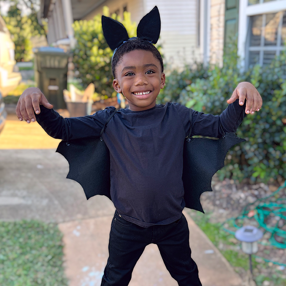 Diy Bat Costume