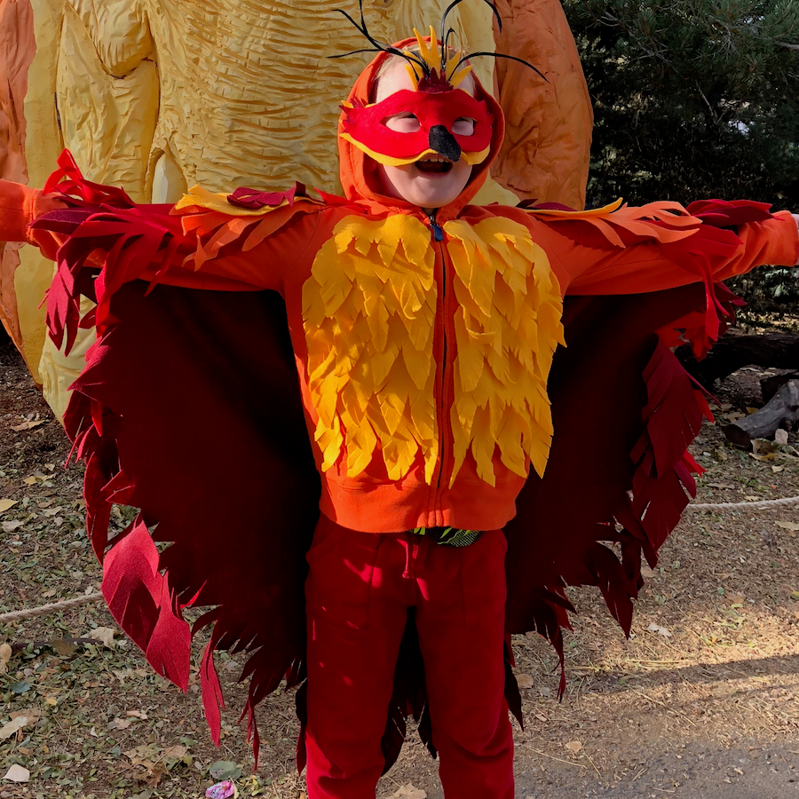 DIY Phoenix Costume | Primary.com | Primary.com