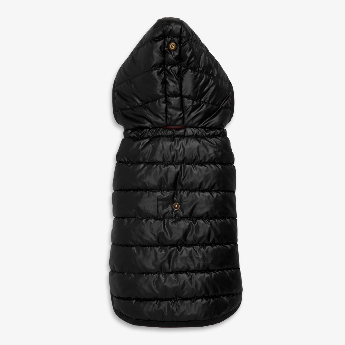 Clearance pet puffer jacket | Primary.com